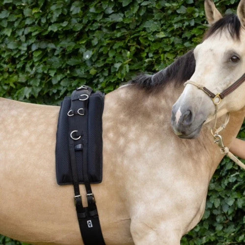 Equitex Accessories – Non-Slip, 90% Pressure Reduction